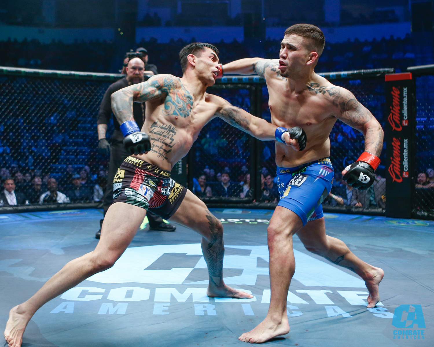 » Anthony Avila defetas Pablo Sabori in epic battle